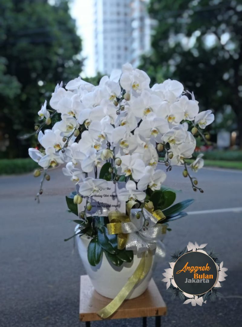 rangkaian anggrek bulan | Naqie Florist