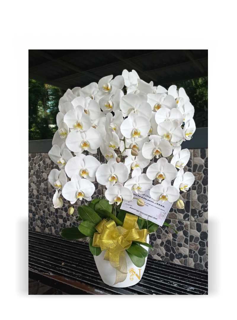 Rangkaian Anggrek Bulan Putih 6 Tangkai Naqie Florist