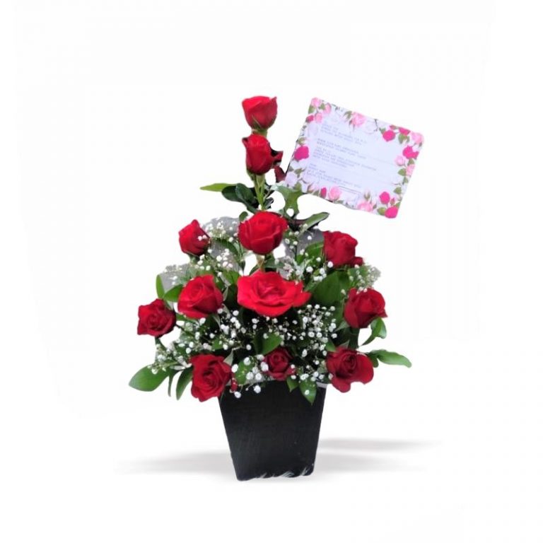 Bunga meja kecil mawar merah mix babybreath- Naqie Florist