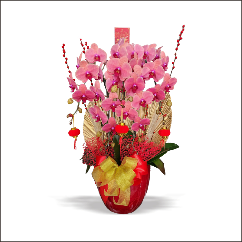 Hampers Anggrek Imlek- Naqie Florist