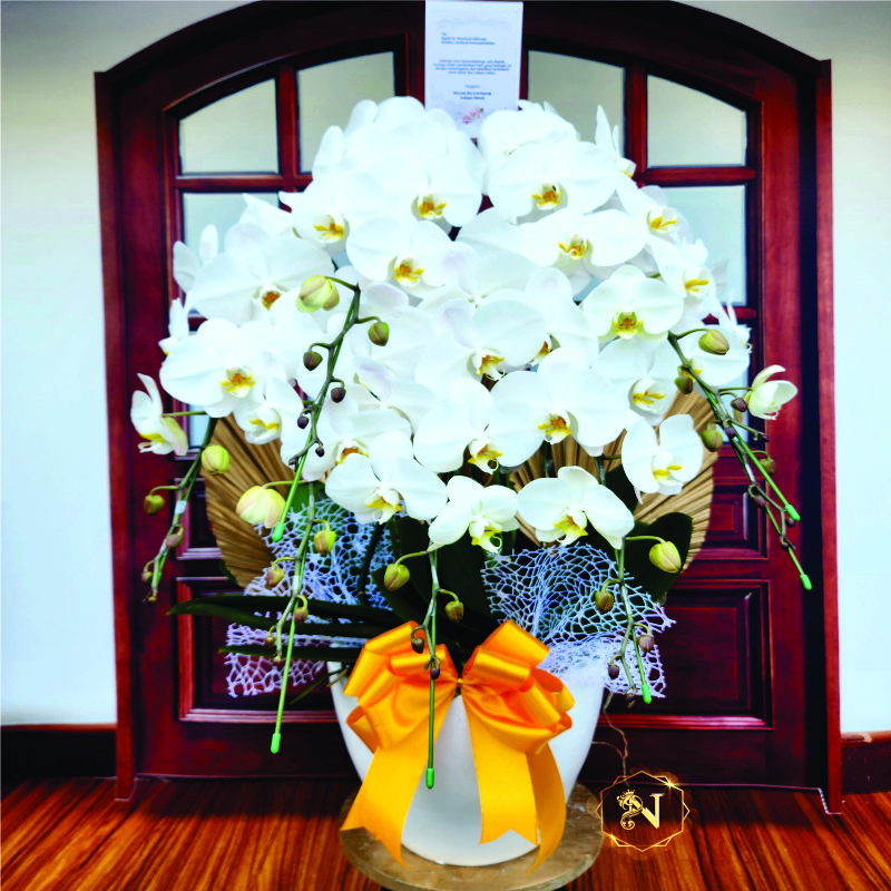 Anggrek rustic 7 tangkai- Naqie Florist